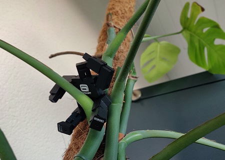 Saigon Studio | Gameloft Vietnam